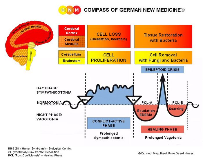 curso nueva medicina germanica y biodescodificacion